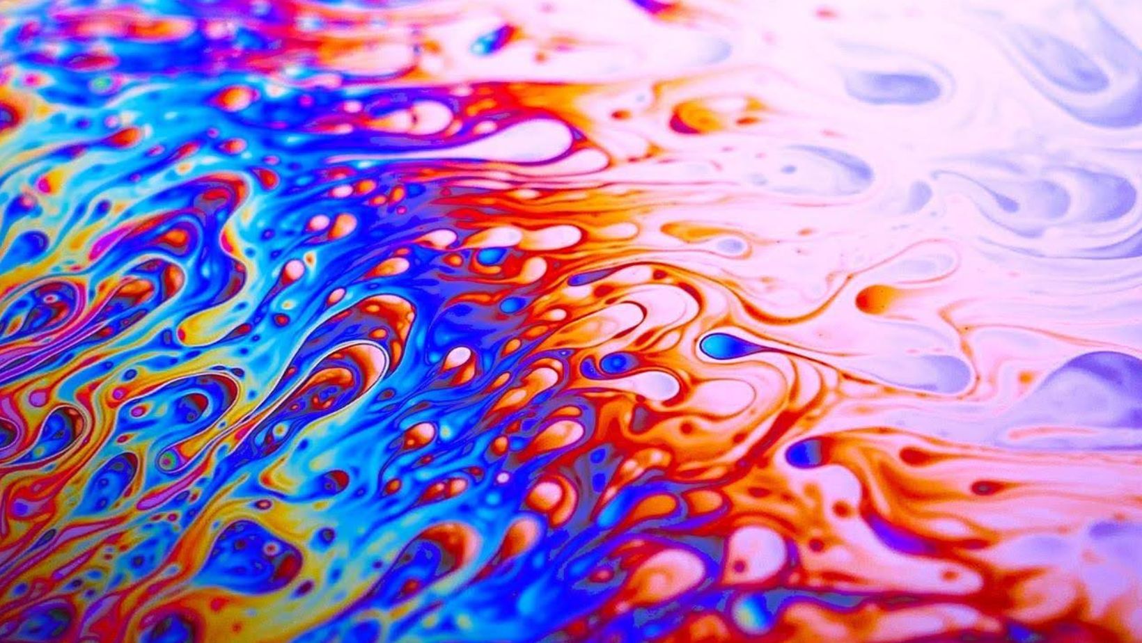 The Key Principles of Contrast in Art - The Art World