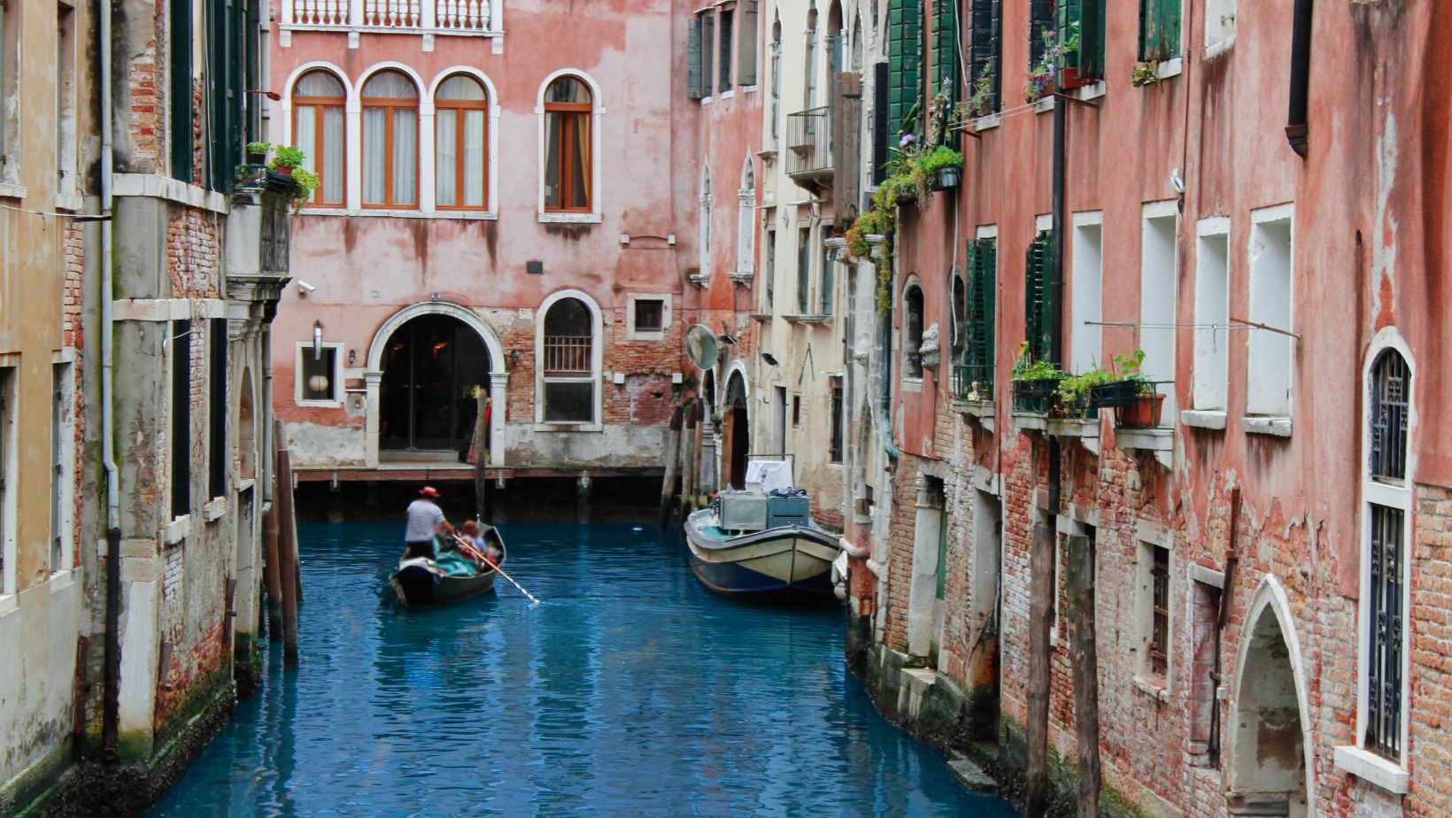 A Brief History of the Venice Biennale - THE ART World